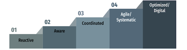The C-Suite Governance Maturity Model, or: How to Improve Profitability ...